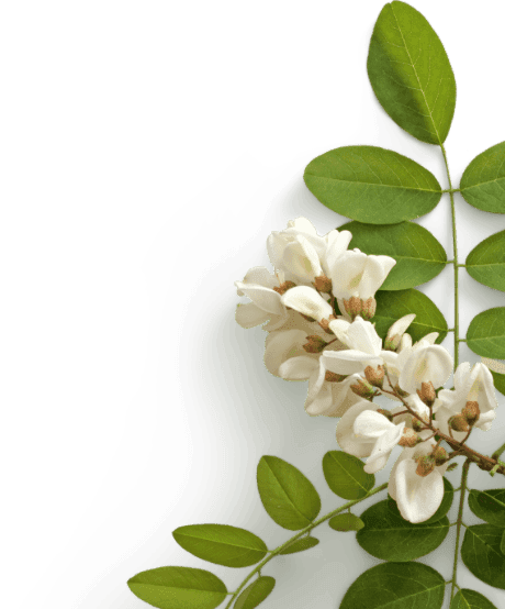 NPF-spektrumet: ADHD, Autism & Neuropsykiatriska variationer